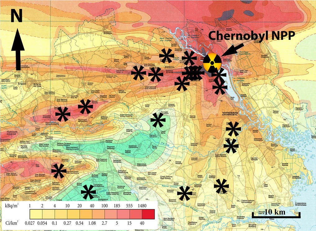 Chernobyl's radiation damage of microbes has far reaching effects ...