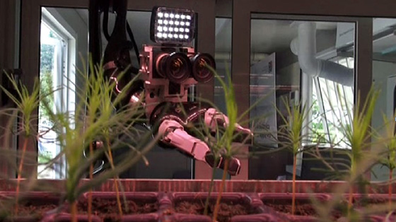 Robots successfully tend tree nursery - Think Research Expose | Think ...