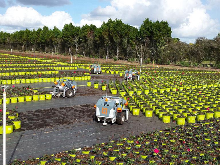 Robots Successfully Tend Tree Nursery - Think Research Expose | Think ...